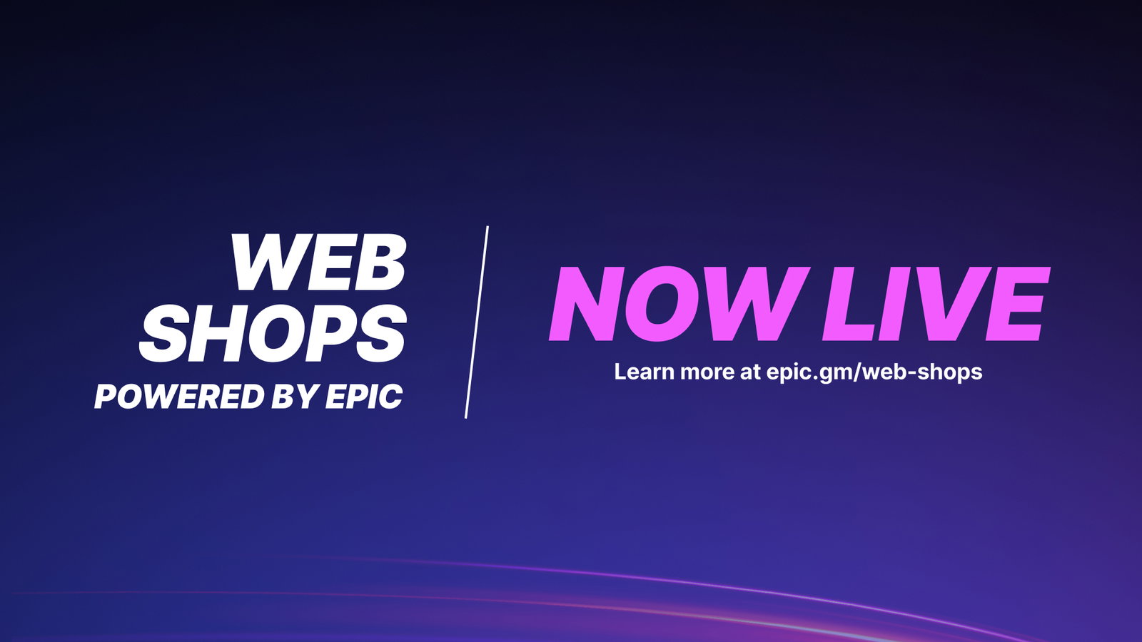 Epic Web Shops | Biunivoca